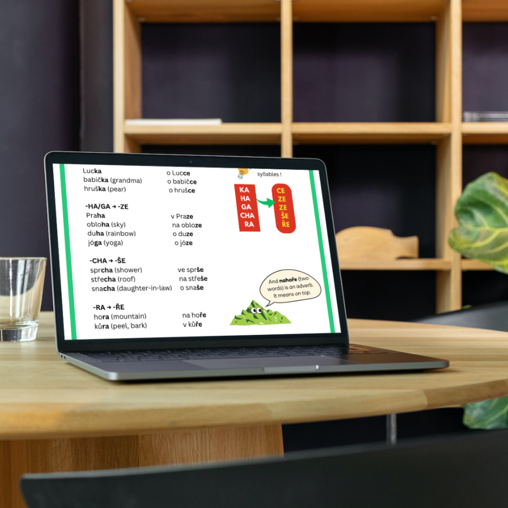 Learn Czech. Just in Case...
