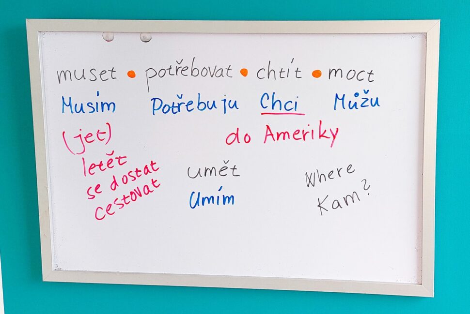 Umím česky. Chci domů. When can we leave out main verbs in Czech?