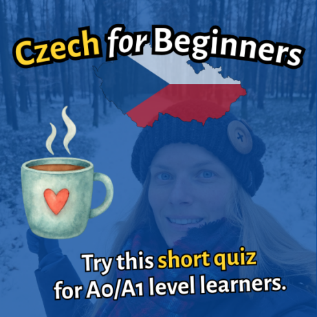 Quizzes | Czech by Zuzka